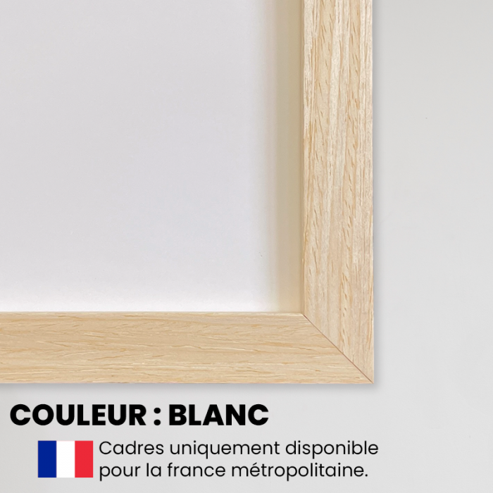 Poster tampion french frigate forbin - Targets - 800 Tonnes