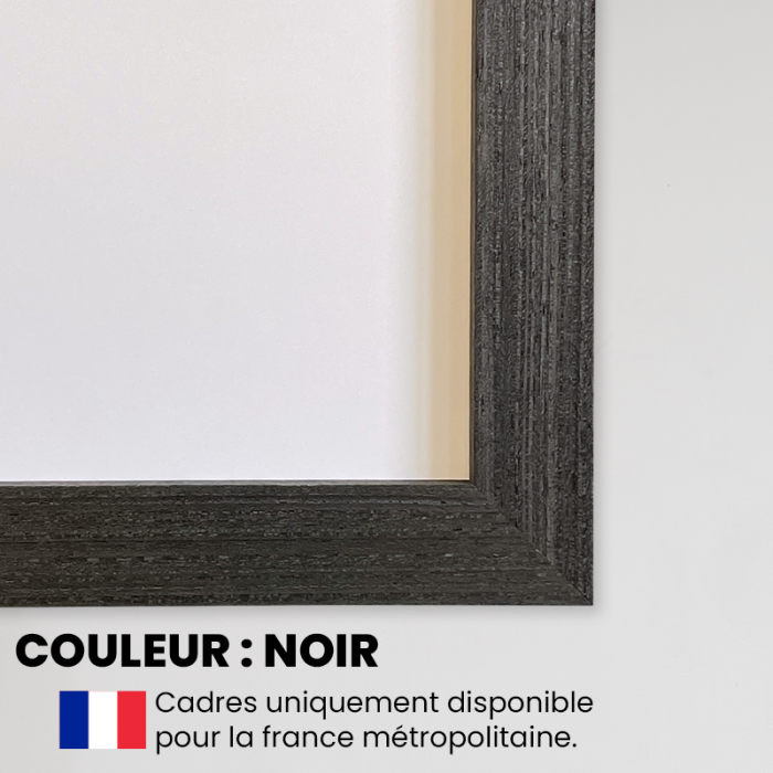 Poster of the french frigate Courbet inspired by the official tampion